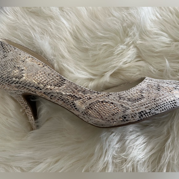 Anne Klein | Shoes | Anne Klein Snake Skin Pumps With Silver And Gold ...